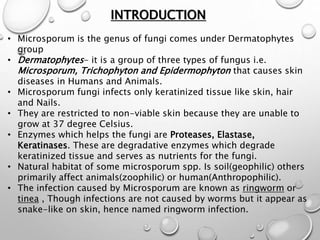 Microsporum fungi. | PPTX