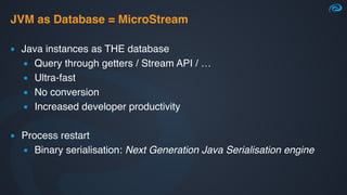 MicroStream-WithoutDatabase.pdf