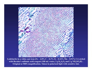 Ledeburite Microstructure