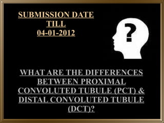 Microstructure of kidney and ureter part 2 | PPT