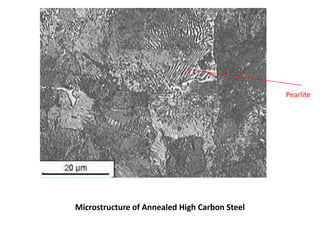 Low Carbon Steel Microstructure