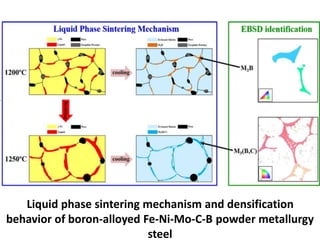 Microstructure of Powder Metallurgy Carbon Steels.pptx