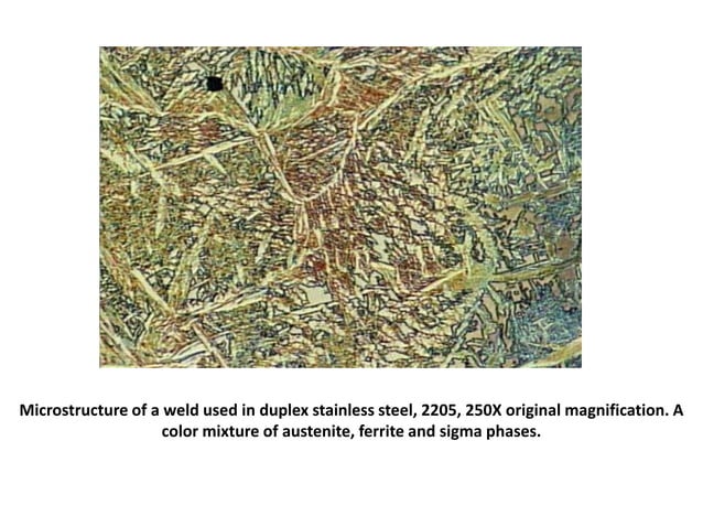 Microstructure of Powder Metallurgy Stainless Steels.pdf