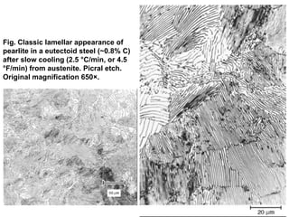 Microstructures | PPT