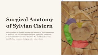 Microsurgical-Anatomy-of-Sylvian-Cistern.pptx