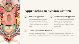 Microsurgical-Anatomy-of-Sylvian-Cistern.pptx