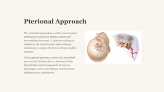 Microsurgical-Anatomy-of-Sylvian-Cistern.pptx