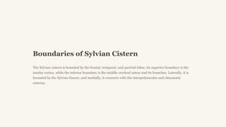 Microsurgical-Anatomy-of-Sylvian-Cistern.pptx