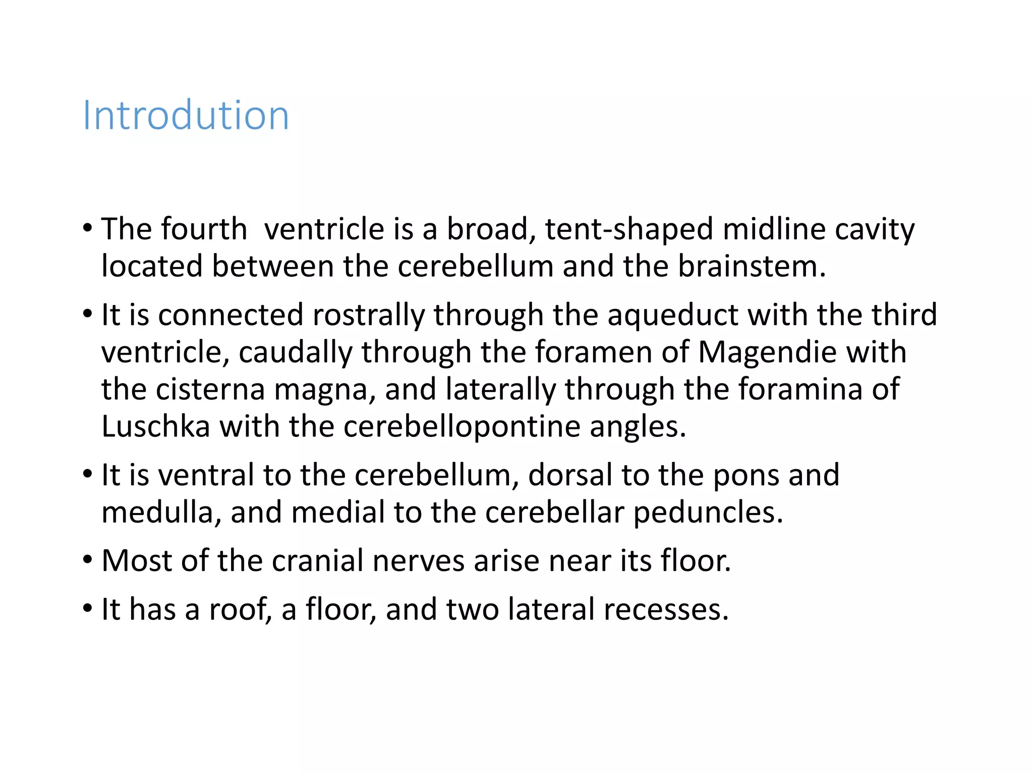 Microsurgical anatomy of fourth ventricle | PPTX