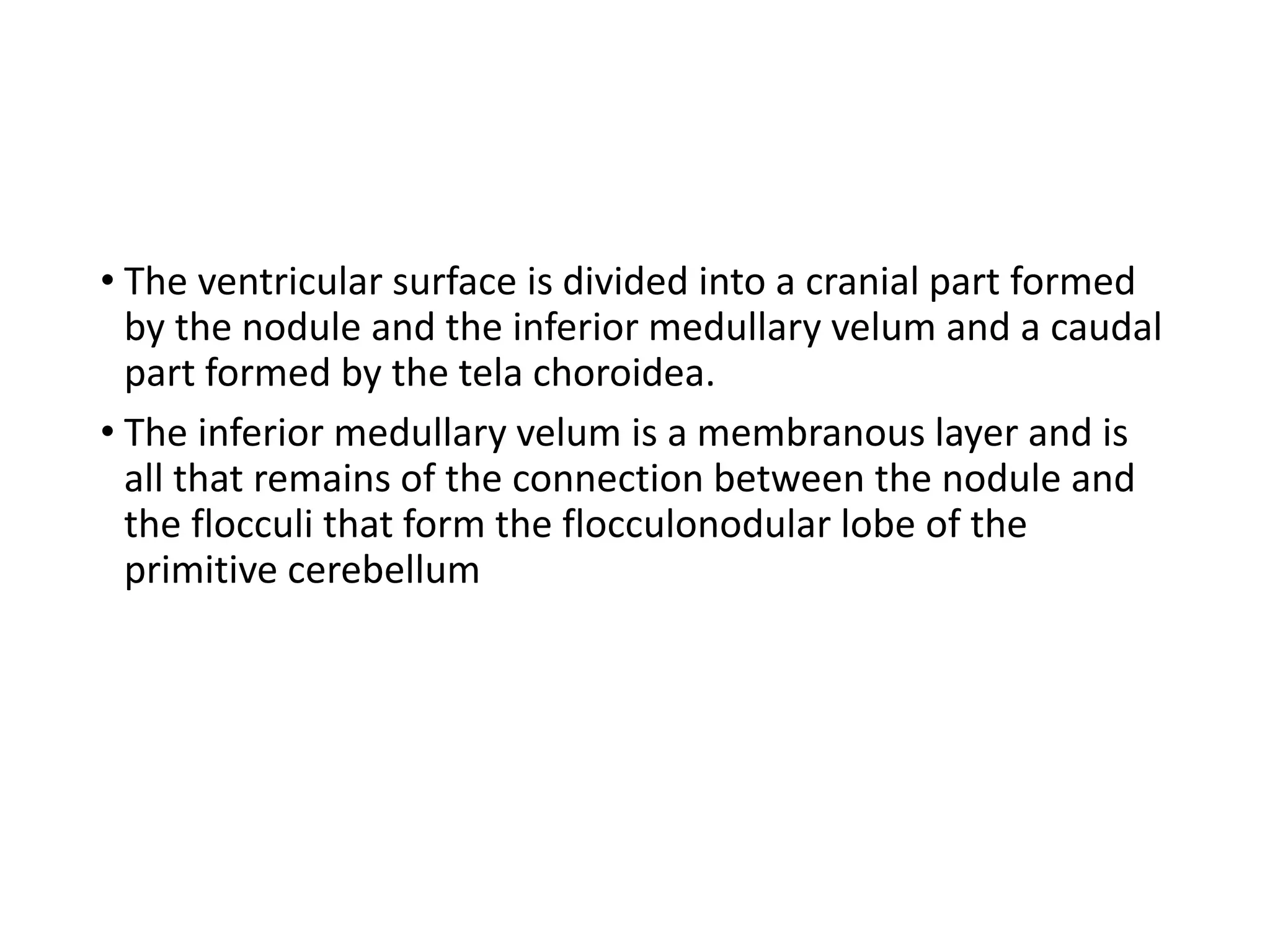 Microsurgical anatomy of fourth ventricle | PPTX