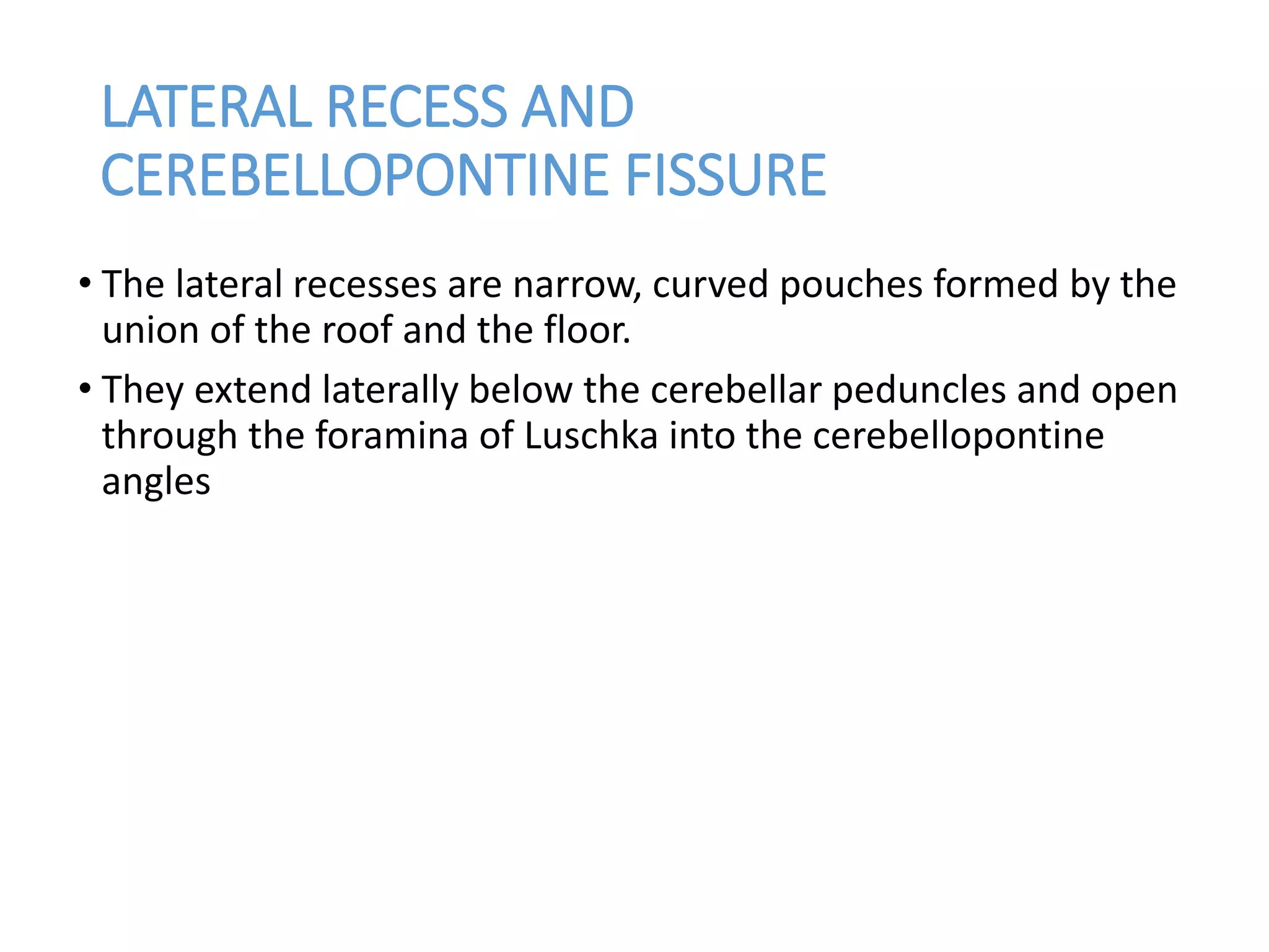 Microsurgical anatomy of fourth ventricle | PPTX