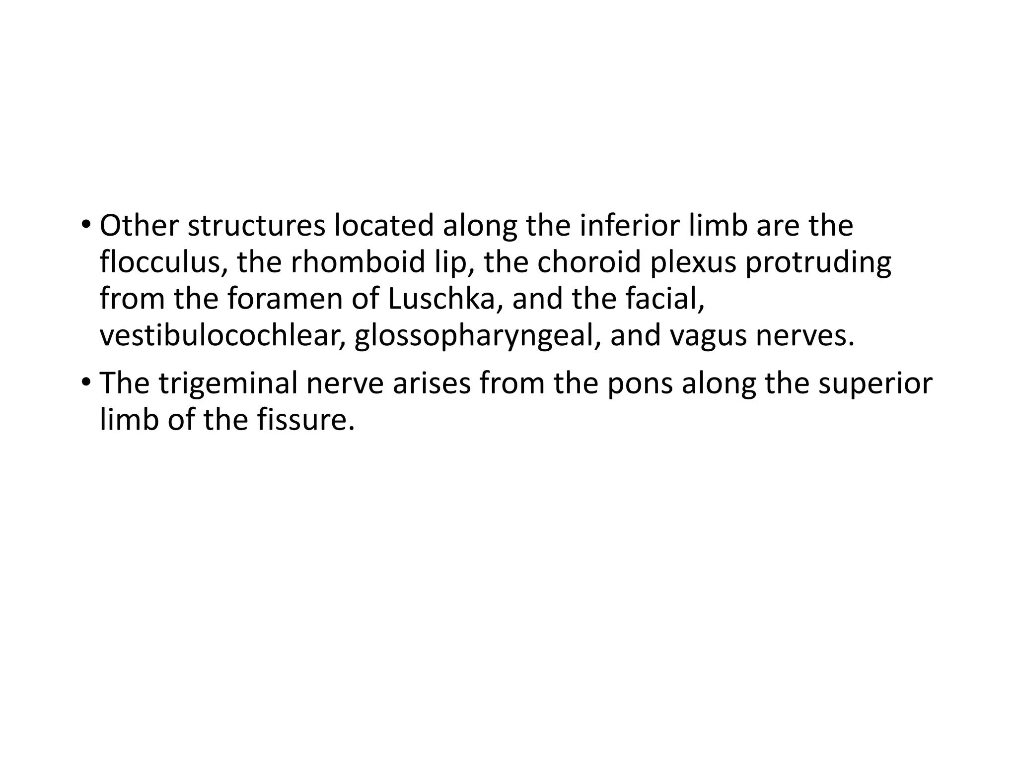 Microsurgical anatomy of fourth ventricle | PPTX