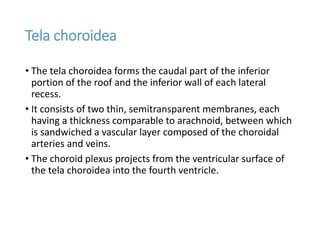 Microsurgical anatomy of fourth ventricle | PPTX