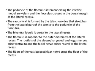 Microsurgical anatomy of fourth ventricle | PPTX
