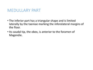 Microsurgical anatomy of fourth ventricle | PPTX