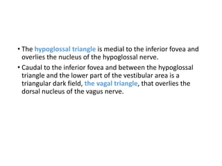 Microsurgical anatomy of fourth ventricle | PPTX