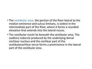Microsurgical anatomy of fourth ventricle | PPTX