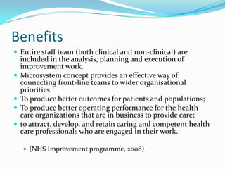 Microsystem3 | PPTX | Healthcare Industry | Industries