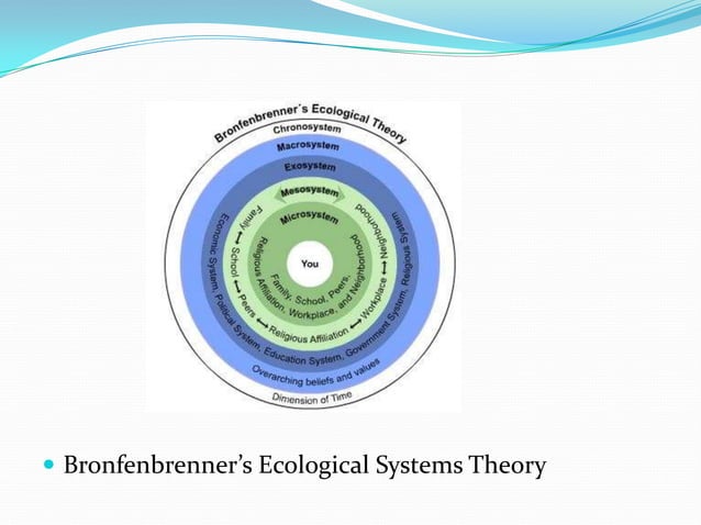 Microsystem3 | PPTX | Healthcare Industry | Industries