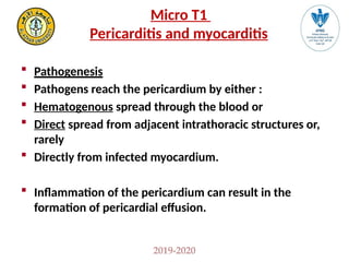 MicroT1 myocarditis and pericarditis modified - Copy.pptx