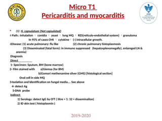 MicroT1 myocarditis and pericarditis modified - Copy.pptx