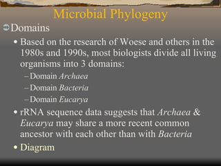 Microtaxonomy | PPT