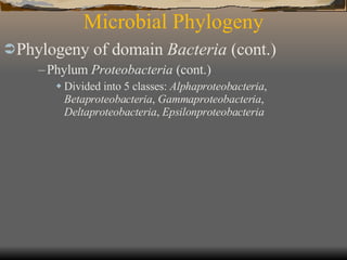 Microtaxonomy | PPT