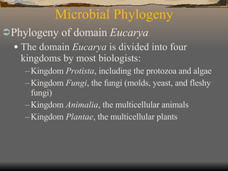 Microtaxonomy | PPT
