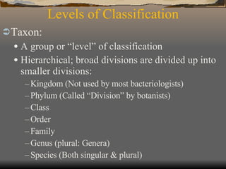Microtaxonomy | PPT
