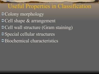 Microtaxonomy | PPT