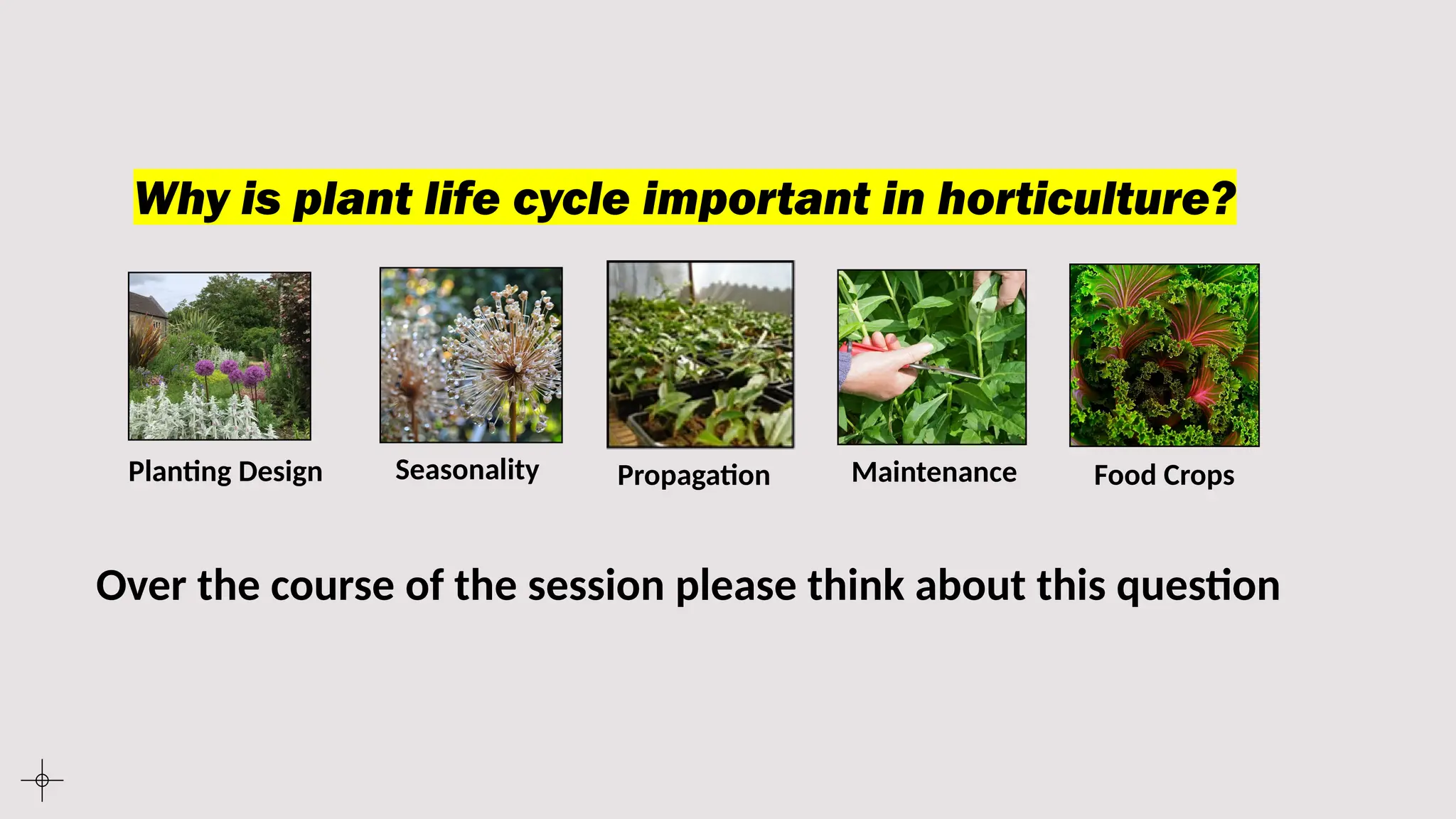 microteach Plant Life cycles powerpoint | PPT