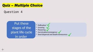 microteach Plant Life cycles powerpoint | PPT