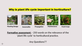 microteach Plant Life cycles powerpoint | PPTX