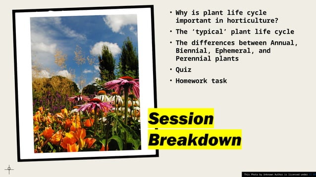 microteach Plant Life cycles powerpoint | PPT