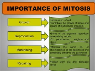 Microteaching-mitosis | PPT