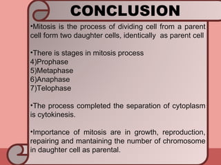 Microteaching-mitosis | PPT