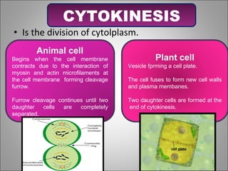 Microteaching-mitosis | PPT