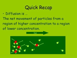 Osmosis | PPT