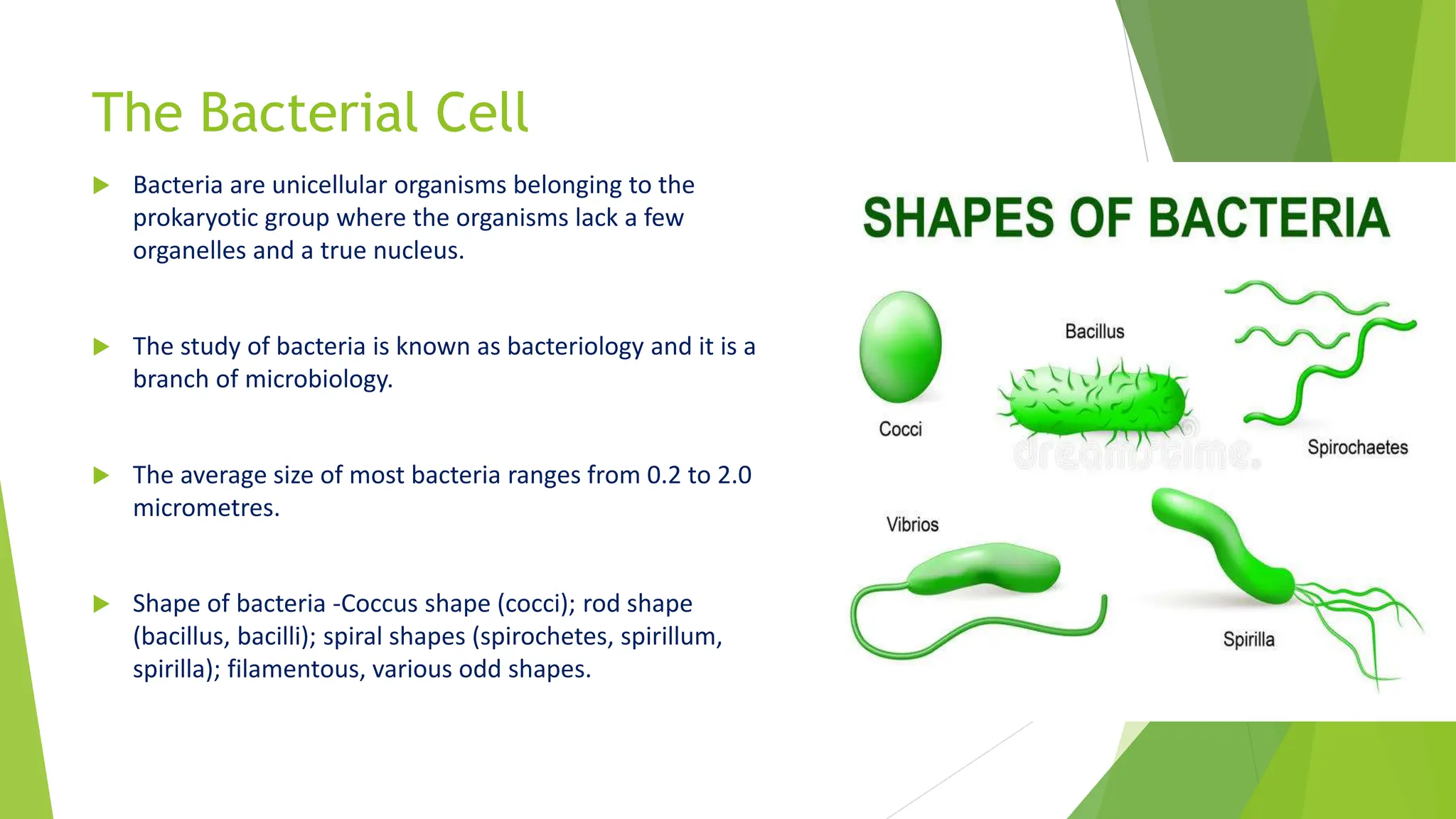 Microteaching- a way of teaching at gross root level | PPT