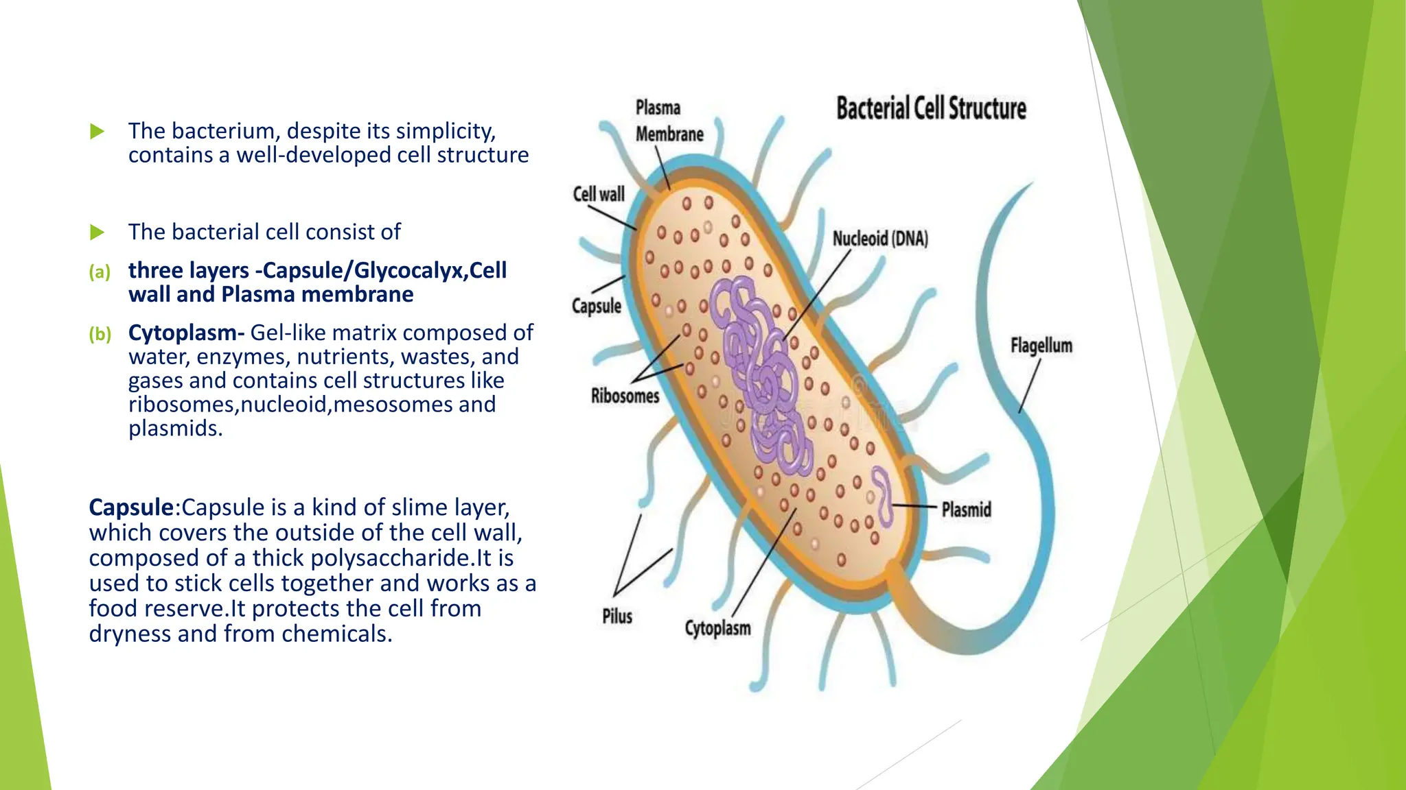 Microteaching- a way of teaching at gross root level | PPT