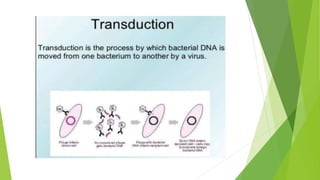 Microteaching- a way of teaching at gross root level | PPT