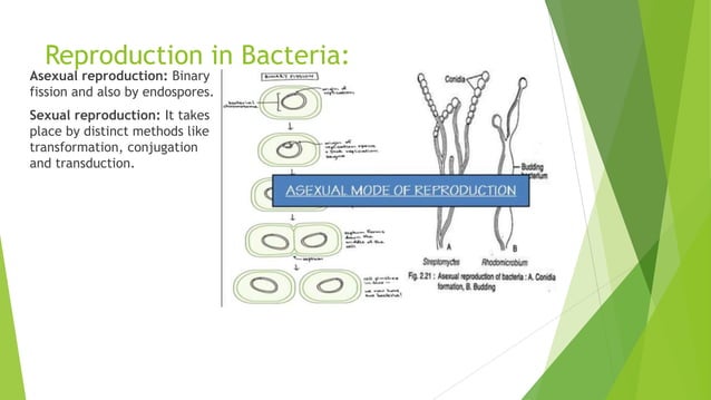 Microteaching- a way of teaching at gross root level | PPT