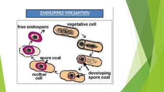 Microteaching- a way of teaching at gross root level | PPT