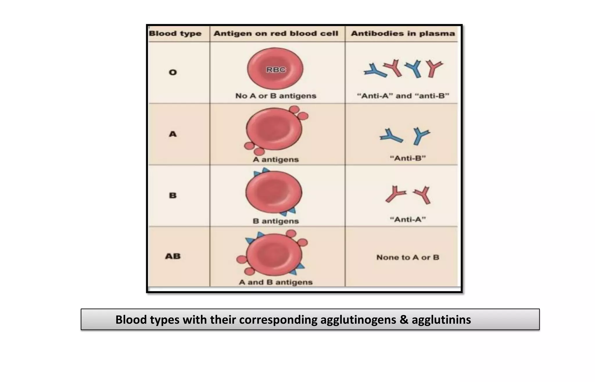 Blood Coagulation , ABO blood group & Rh factor | PDF