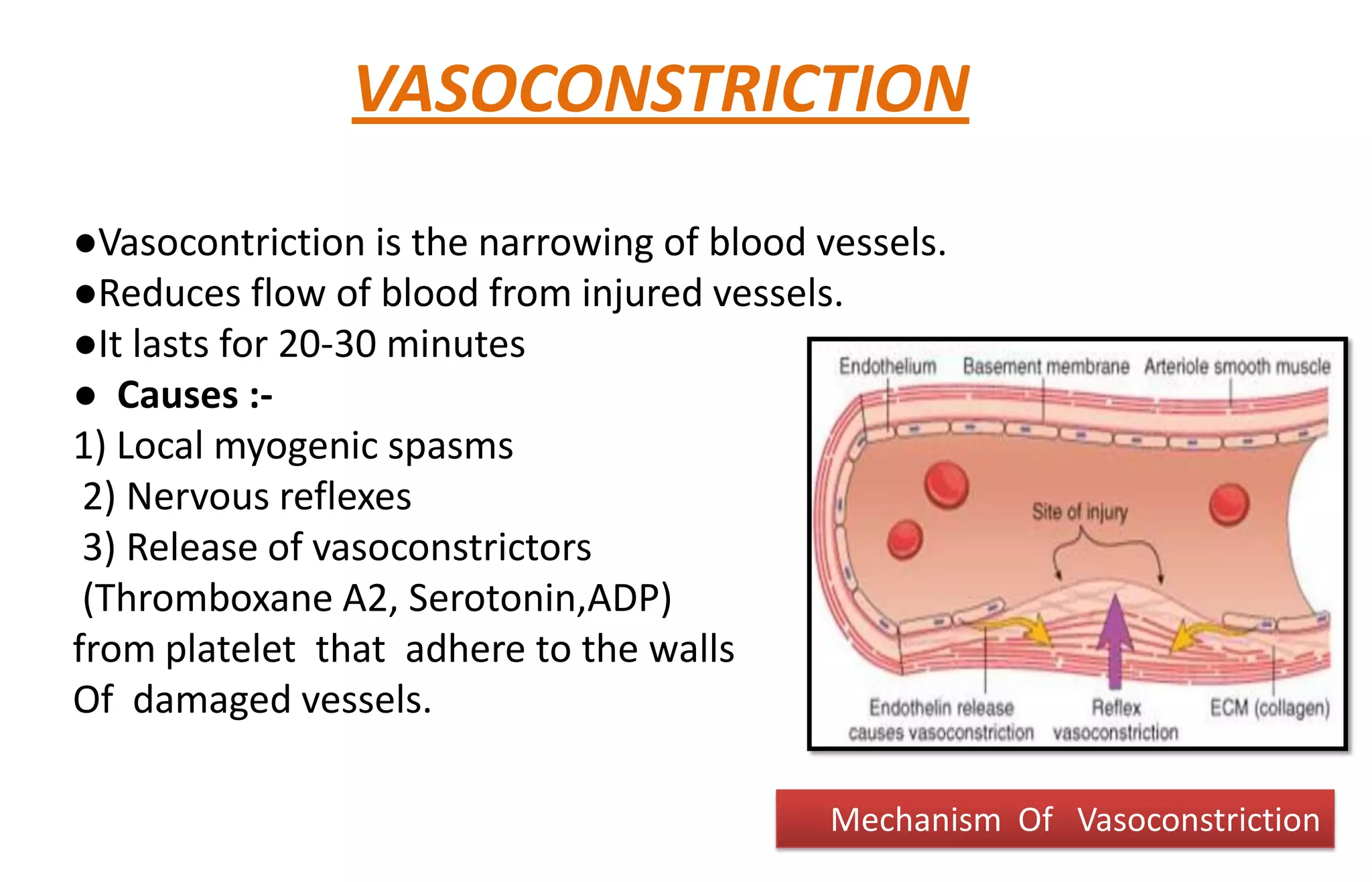 Blood Coagulation , ABO blood group & Rh factor | PDF