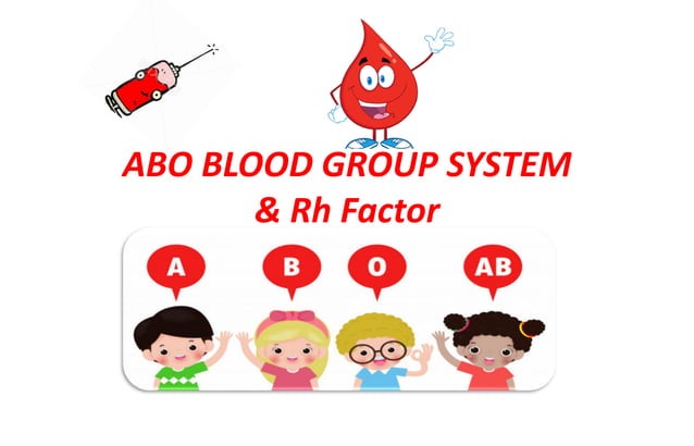 Blood Coagulation , ABO blood group & Rh factor | PDF | Blood Disorders ...