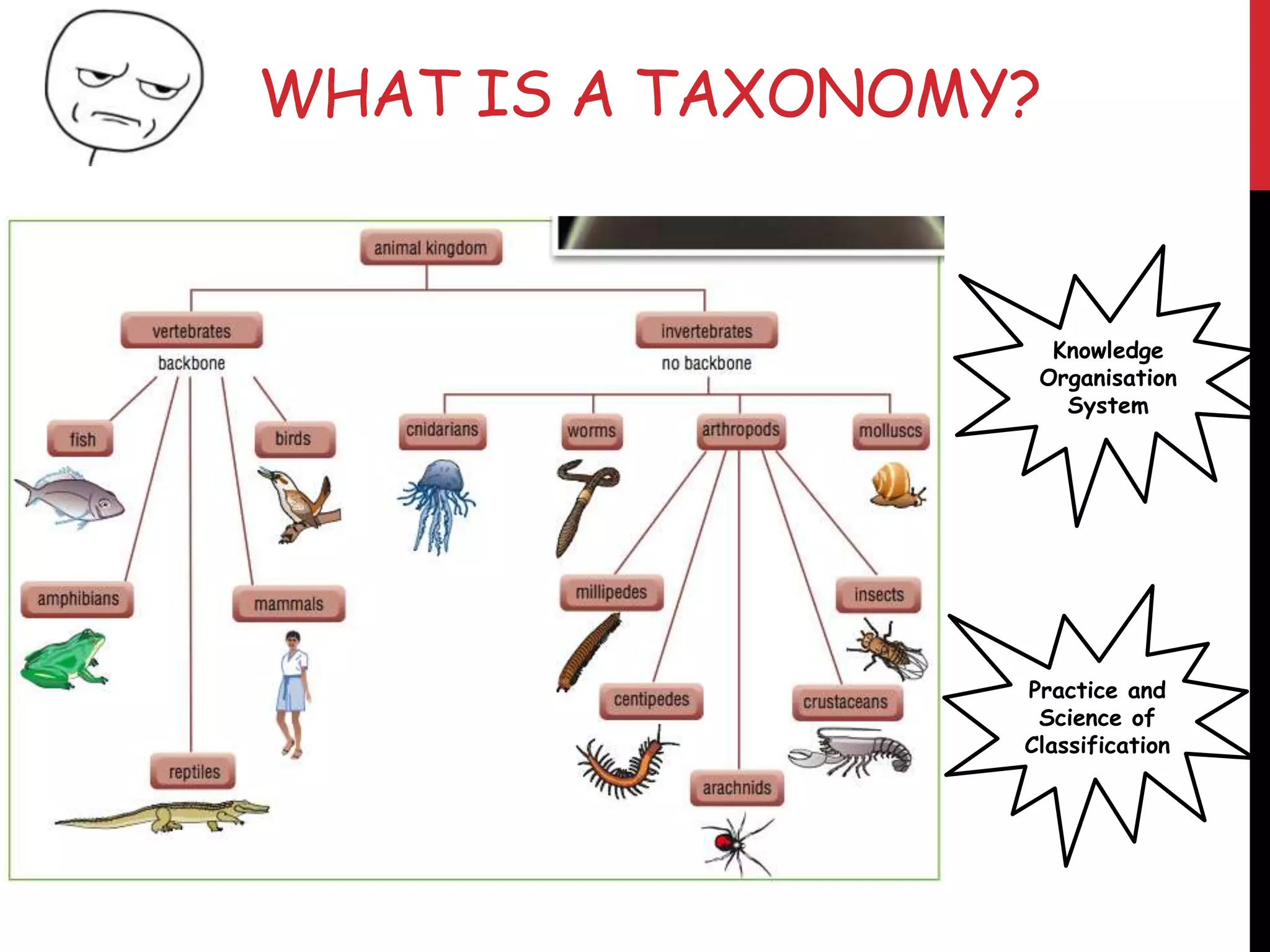 Designing a Taxonomy For a Company's Website | PPT