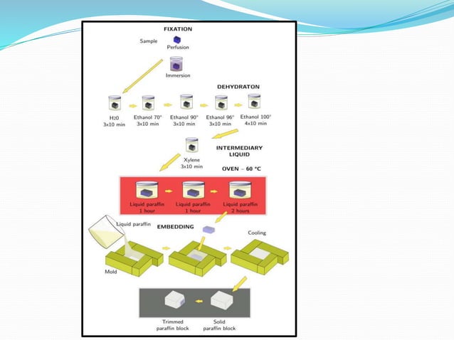 Microtechnique/Microtomy for histology and permanent slide preparation ...