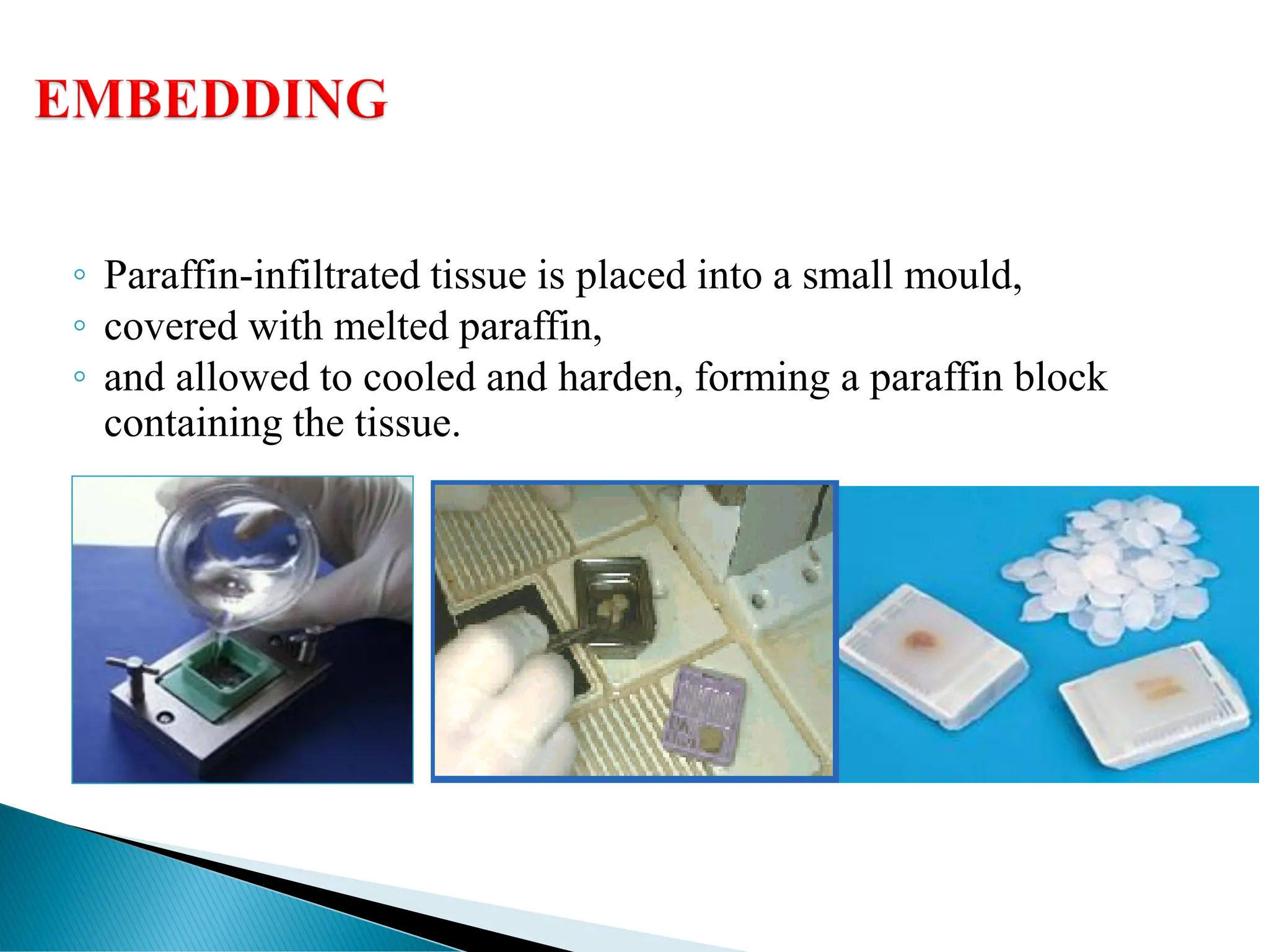 Microtechniques and microbiology histology 1.pdf