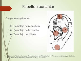 Microtia. Técnicas de Brent y Nagata.ppt